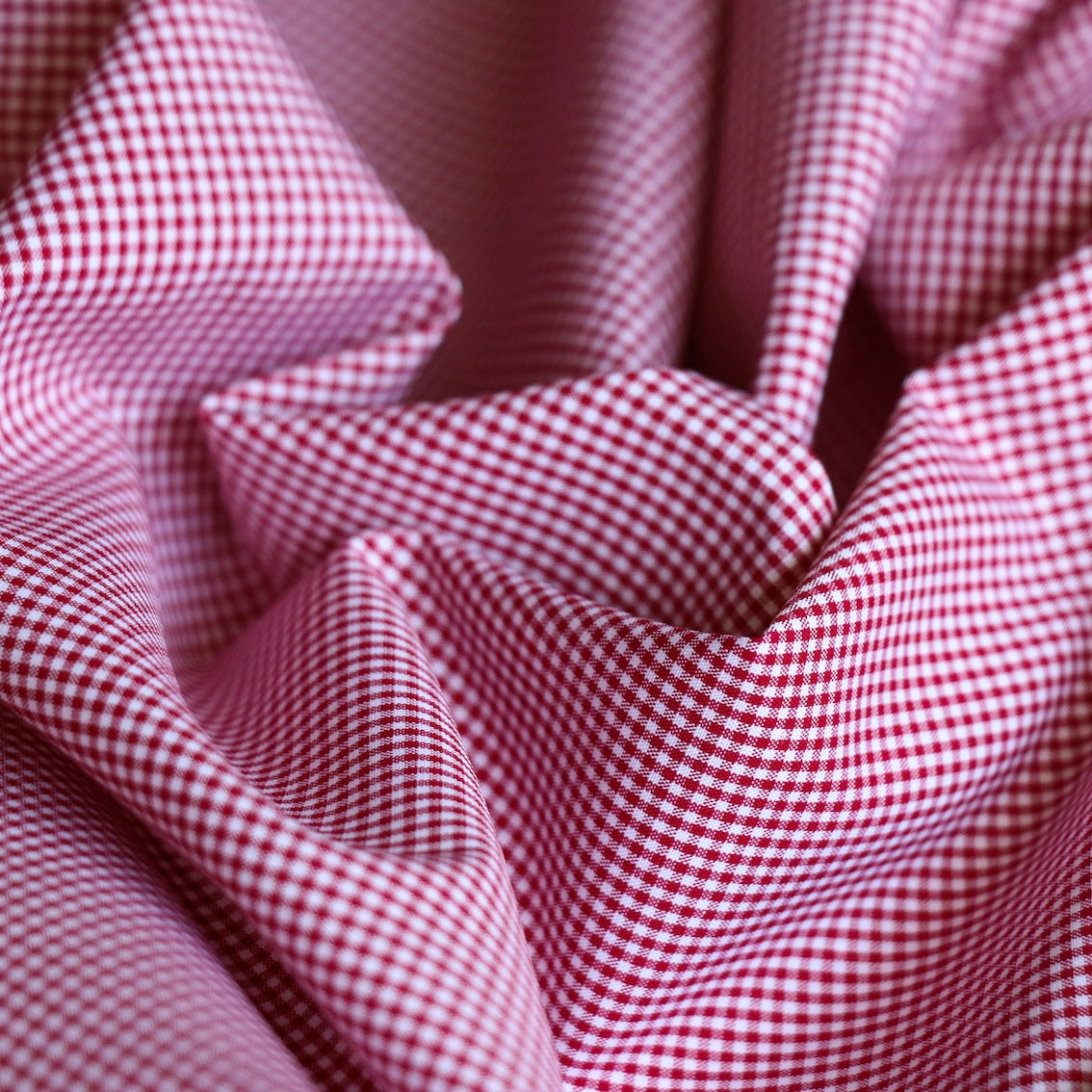 Gigi Raspberry Gingham Check